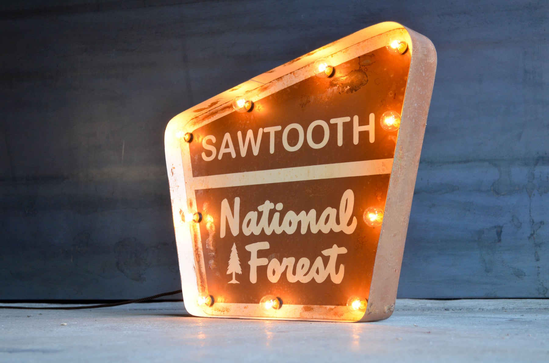 NATIONAL FOREST LIGHTED SIGN – FosterWeld